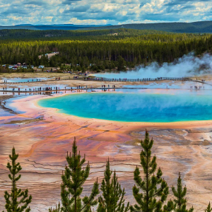Yellowstone National Park Virtual Challenge | The Conqueror Virtual ...