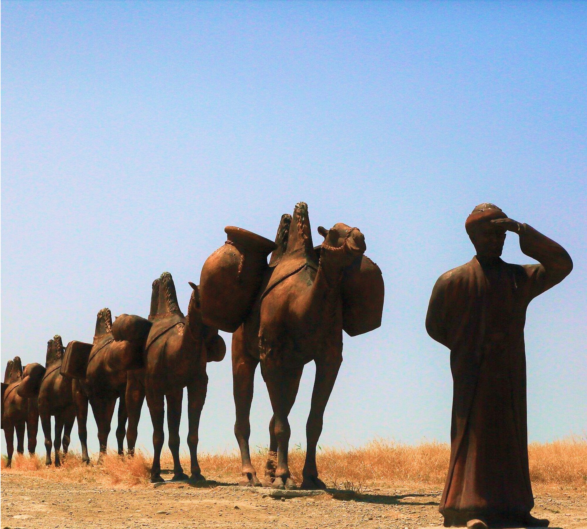 Silk Road Virtual Challenge | The Conqueror Virtual Challenges